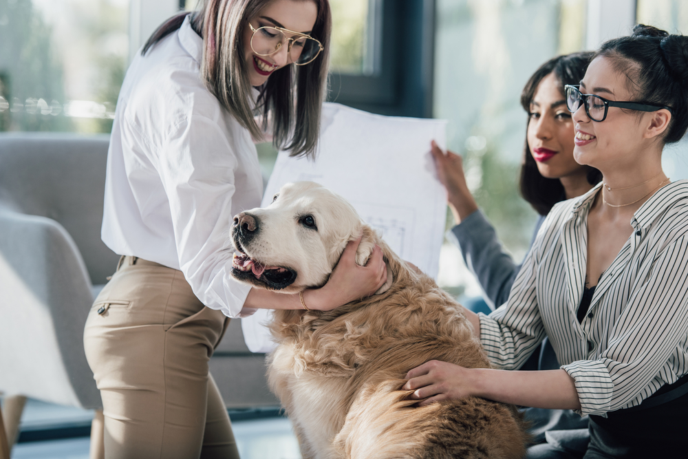The Pros and Cons of Keeping Office Pets - businessnewsdaily.com